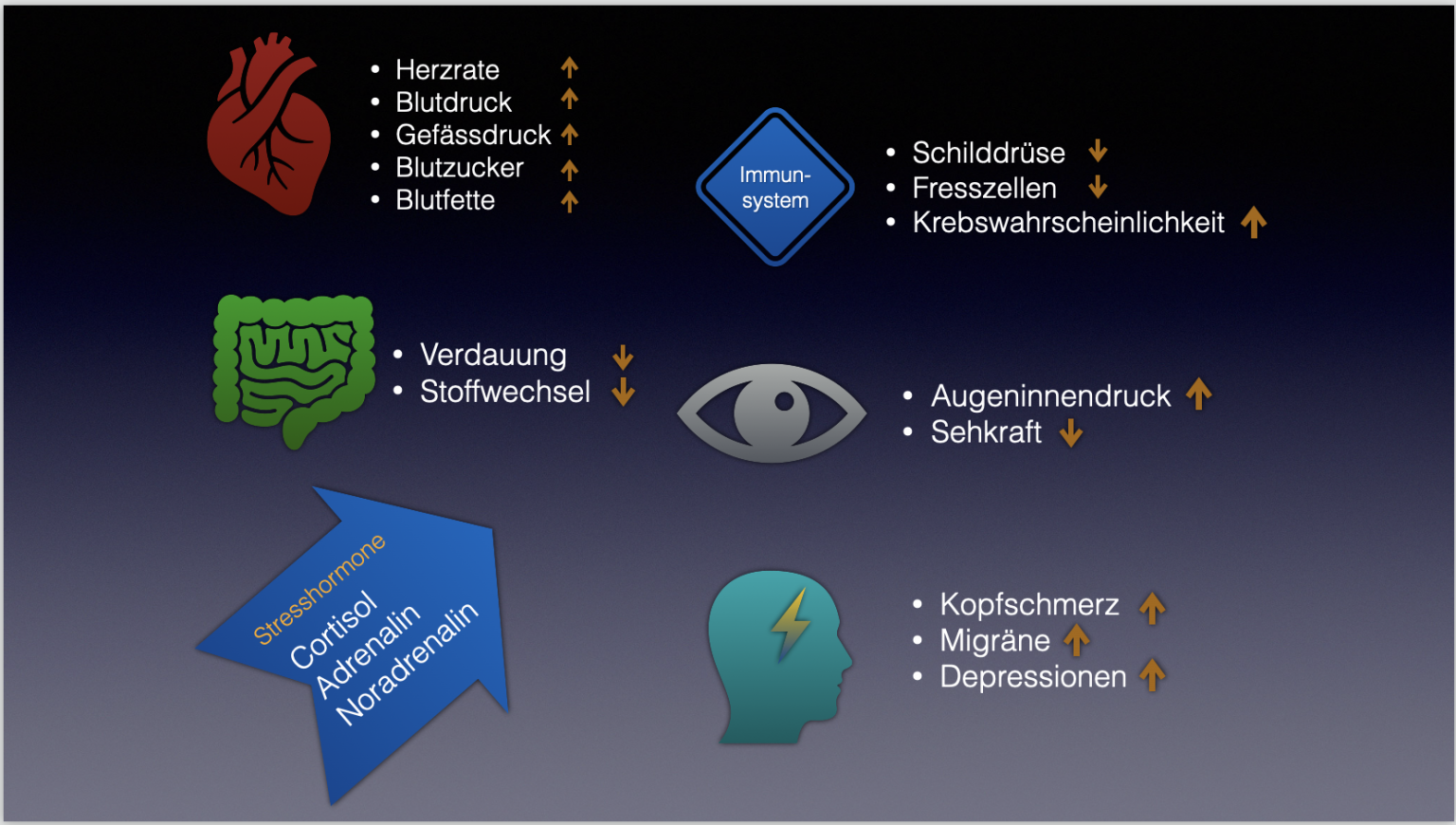 Symptome – Traumawissen